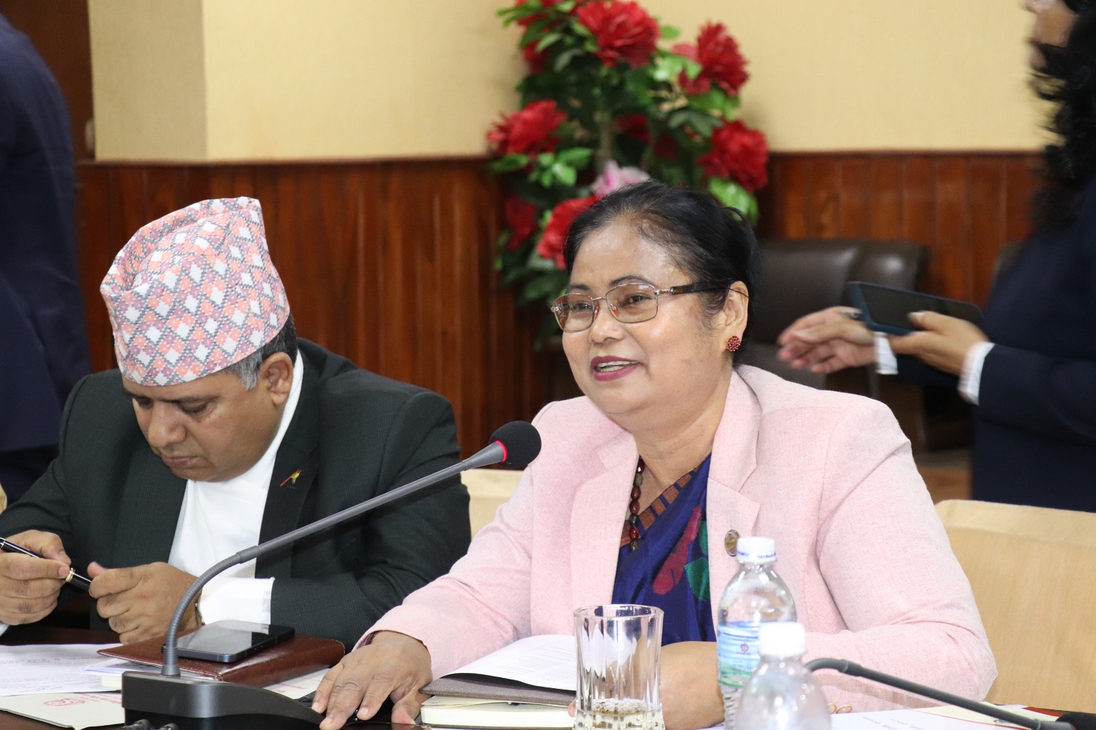 बेइजिङ कार्य मञ्च प्रतिवेदनबारे विज्ञ समूहसँग छलफल